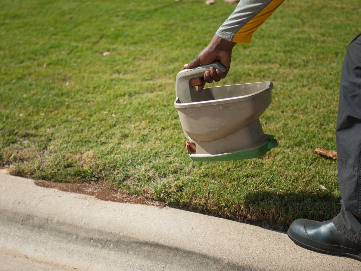 Atlanta Fire Ant Control | Arbor-Nomics