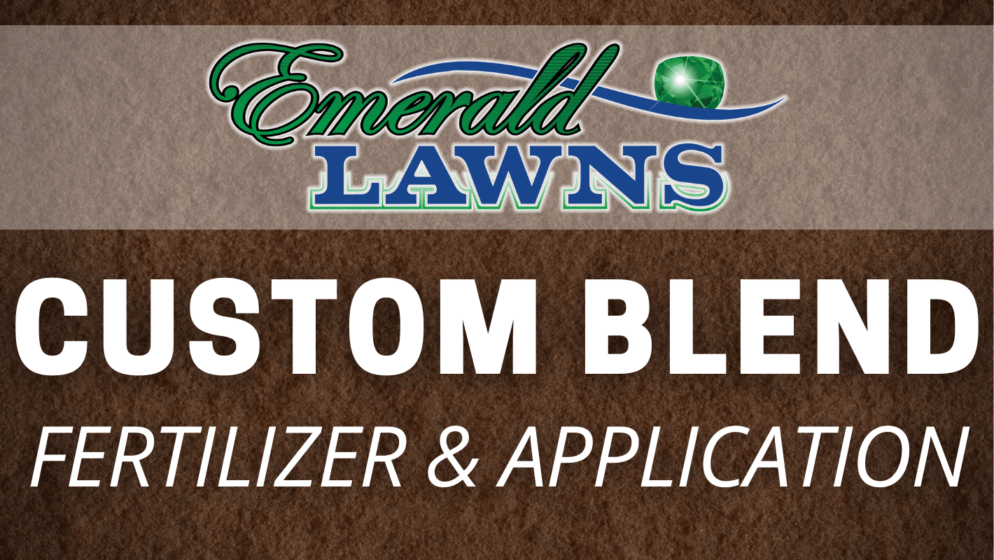 Custom Fertilizer Blend: 8 Essentials | Emerald Lawns