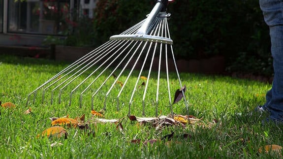 Senske’s Four Essential Spring Lawn Tips