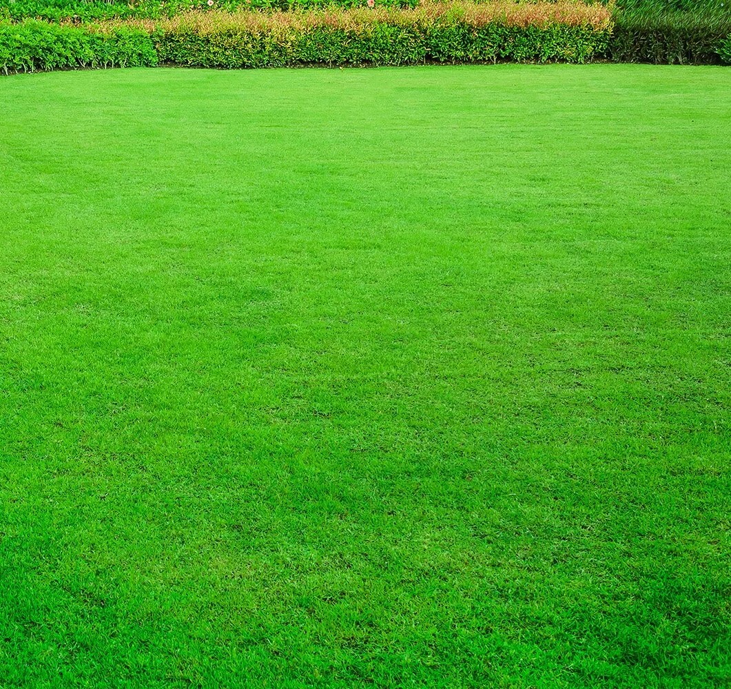 The Complete Guide to Lawn Aeration and Overseeding | The Turf Doctor