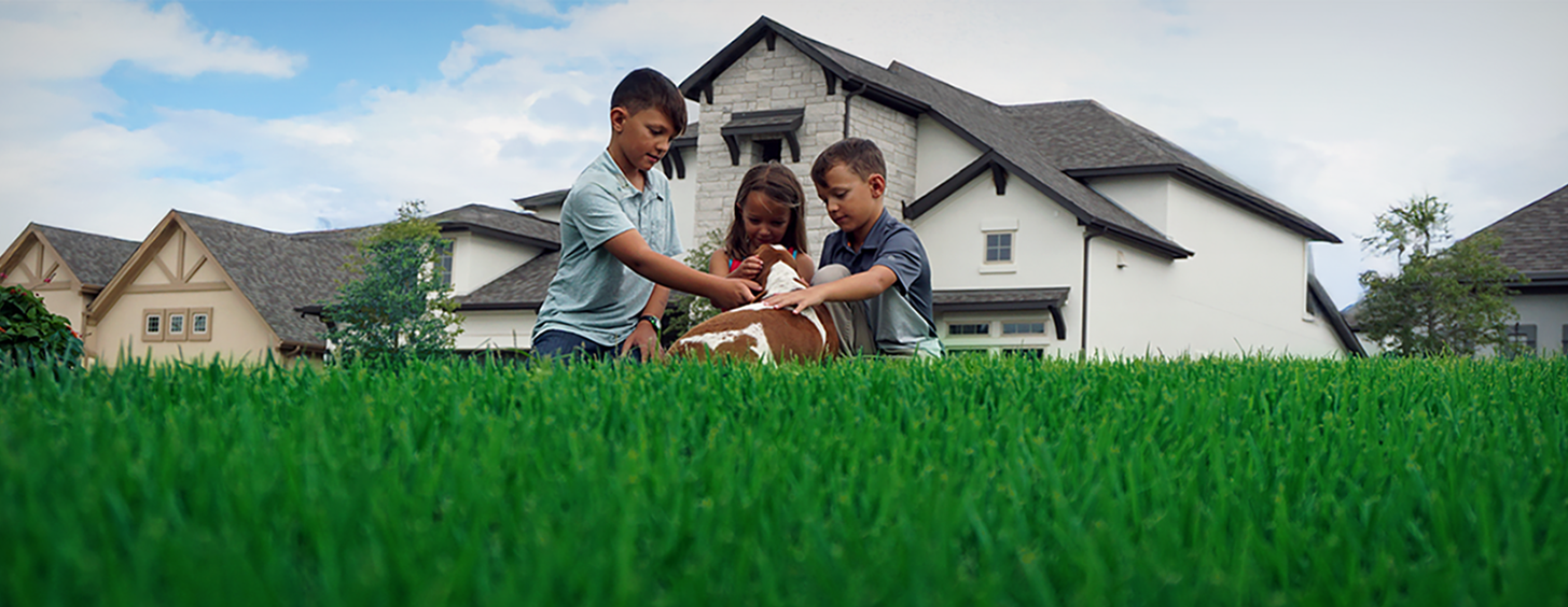 Emerald Lawns Lawn Care Services